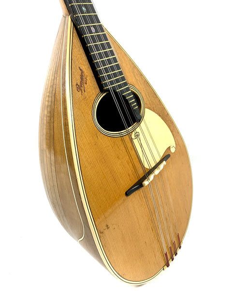 Mandoline de Concert Donasole (Atelier G. Gallesi) 1920's / 1930's – L ...