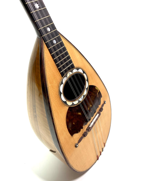 Mandolin by Gennaro and Achille Vinaccia from 1890 – L'instrumenterie